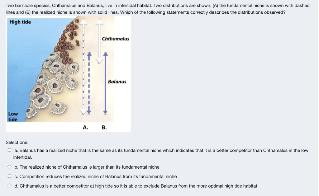 Solved Two barnacle species, Chthamalus and Balanus, live in | Chegg.com