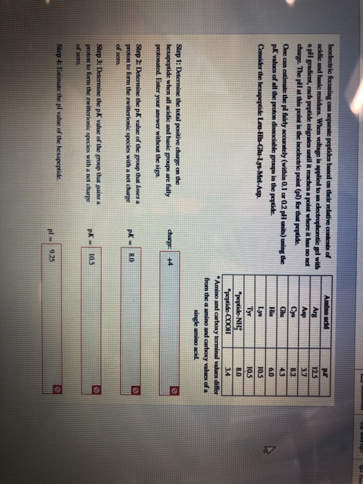 Solved Please consider the hexapeptide ( | Chegg.com