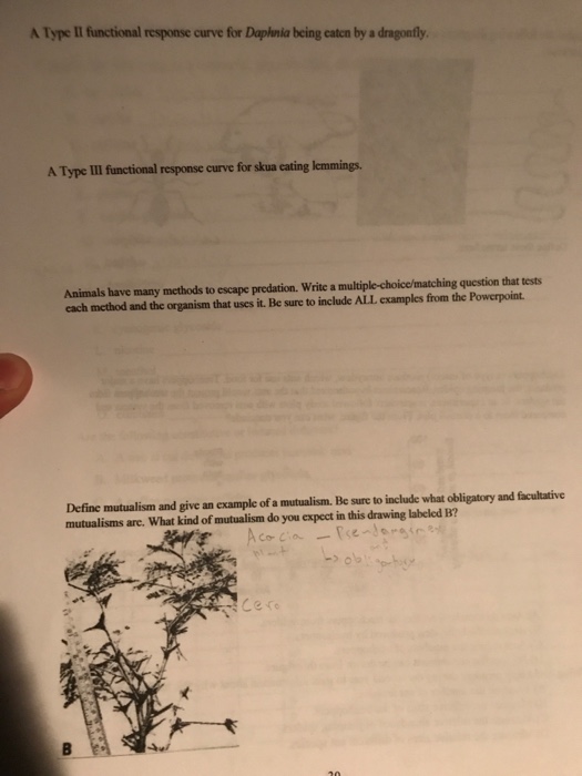 Solved A Type II functional response curve for Daphonia | Chegg.com