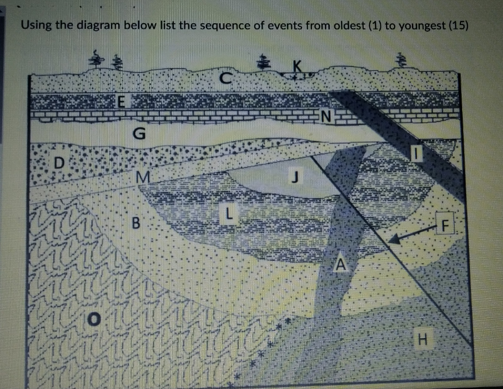 Solved Using the diagram below list the sequence of events | Chegg.com