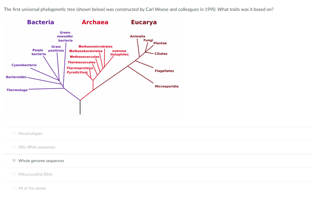 Solved The First Universal Phylogenetic Tree Shown Below 9790