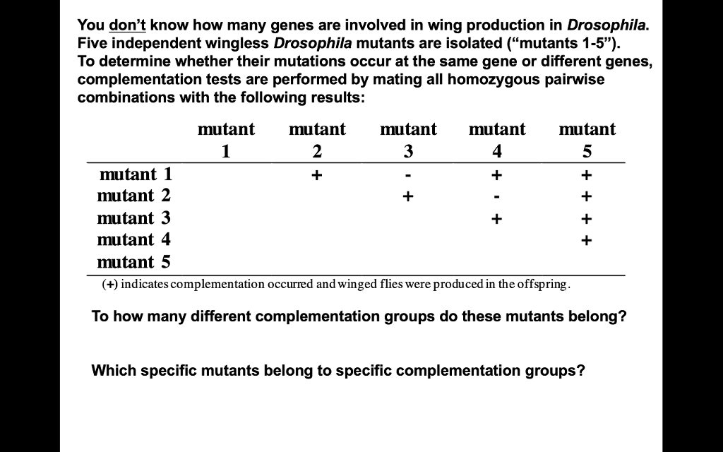 Solved You don't know how many genes are involved in wing | Chegg.com