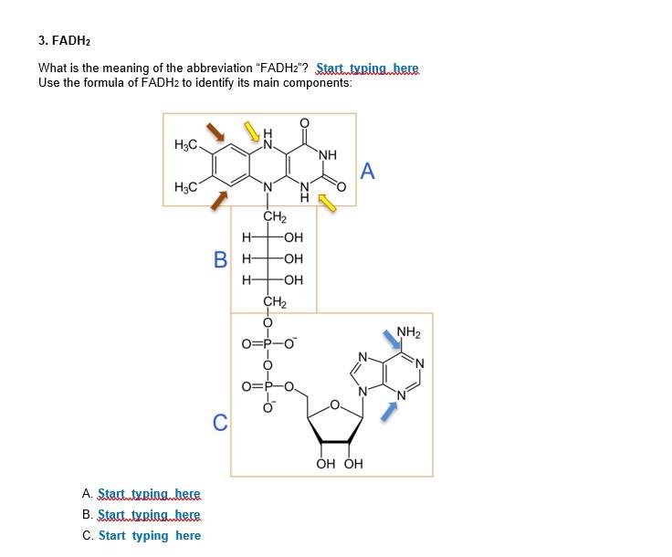 Solved 3. FADH2 What is the meaning of the abbreviation | Chegg.com