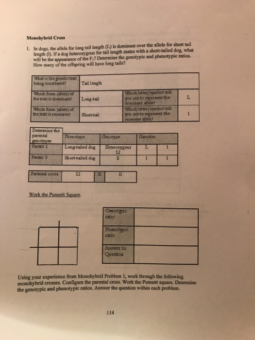 Solved Name: Biology 103 Laboratory Exercise- latroduction | Chegg.com