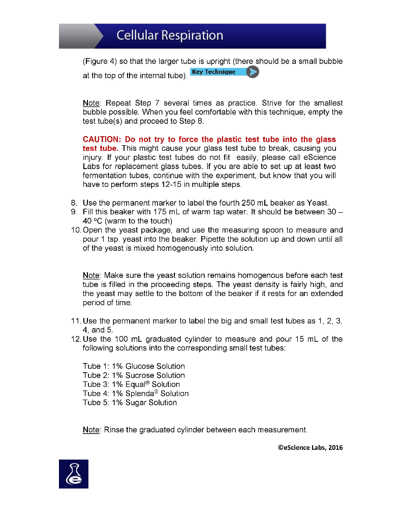 Cellular Respiration Experiment 1: Fermentation by | Chegg.com