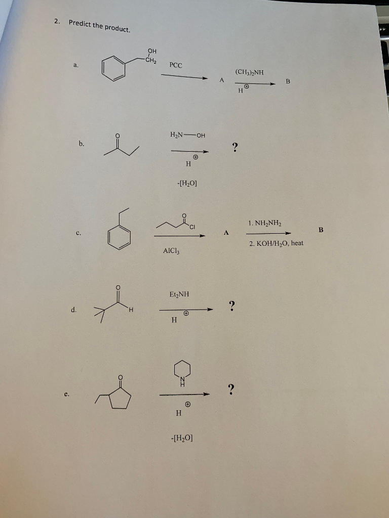 Solved 2. Predict the product. OH CH2 PCC (CH3)2NH H2NOH b. | Chegg.com