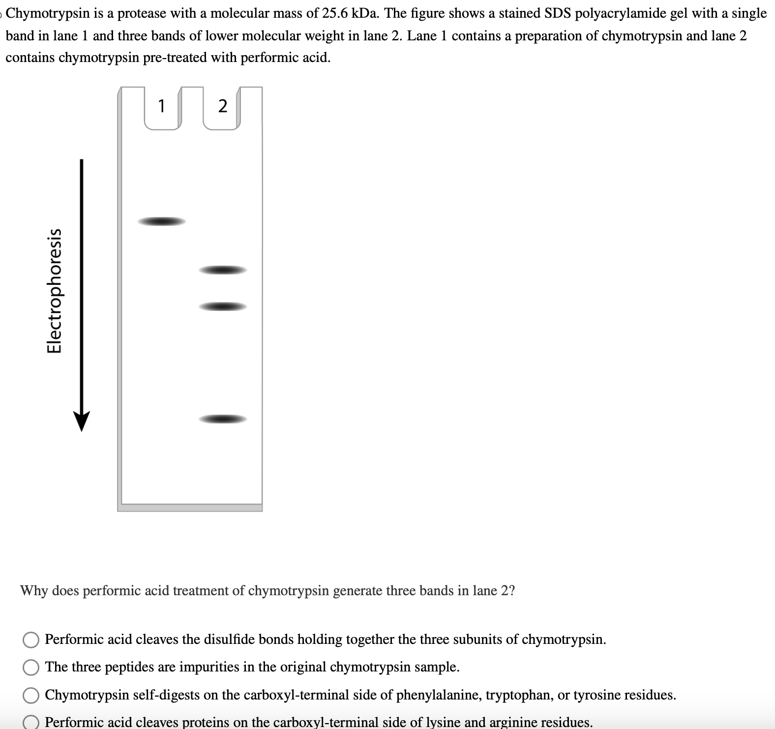 Solved Chymotrypsin is a protease with a molecular mass of | Chegg.com