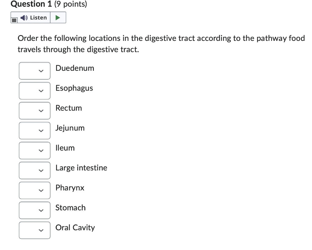 Solved Order the following locations in the digestive tract | Chegg.com