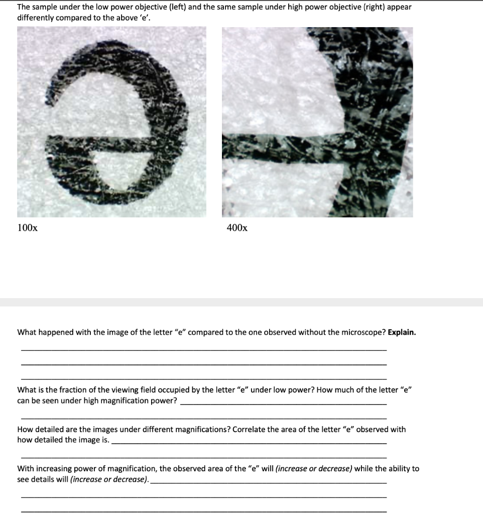 Solved The sample under the low power objective (left) and | Chegg.com