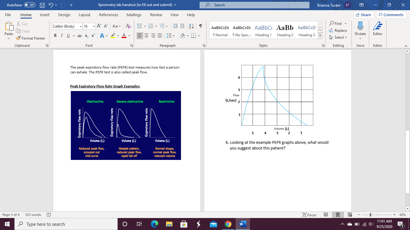 Spirometry Handout Psio 202 Required Handout Departme - vrogue.co