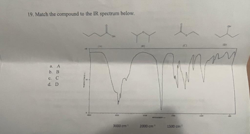 Solved 19. Match the compound to the IR spectrum below. | Chegg.com
