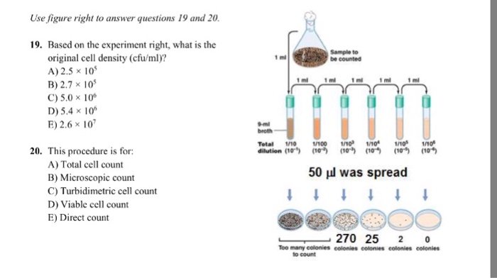 Solved Use figure right to answer questions 19 and 20 19. | Chegg.com