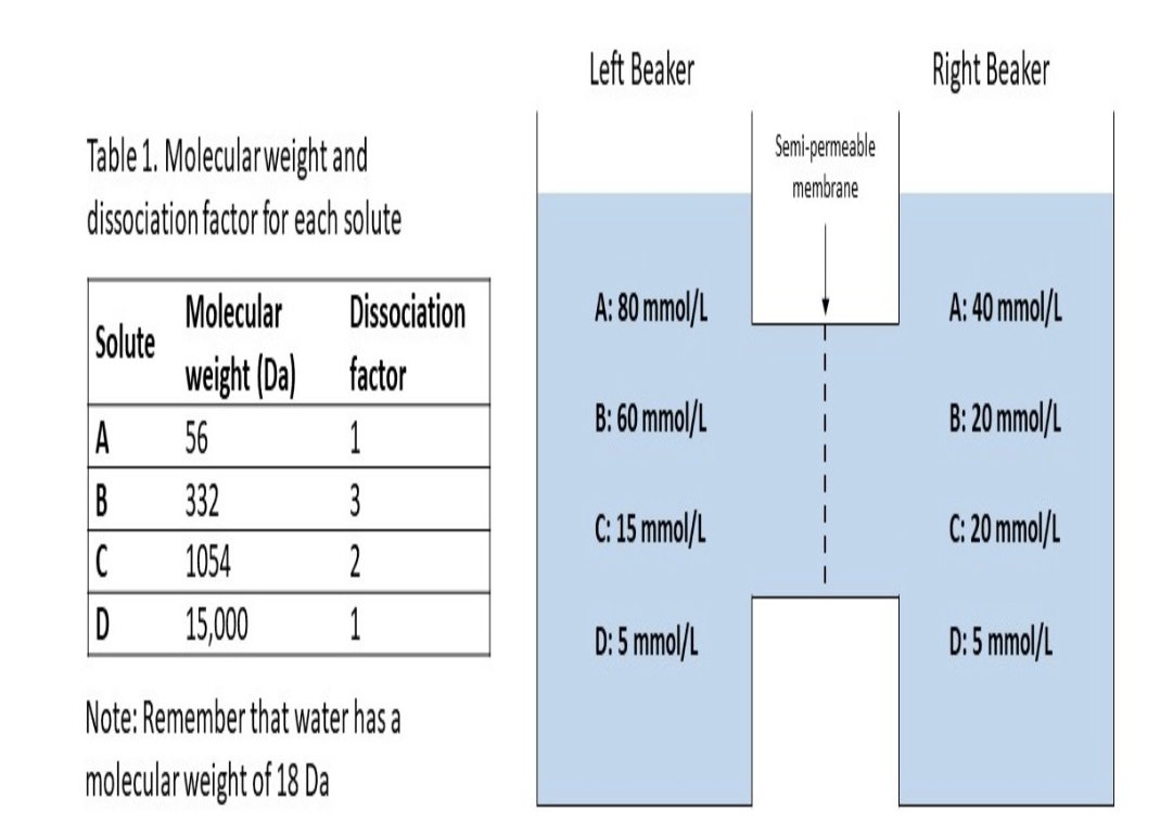Solved The diagram below shows experiments where solutes A, | Chegg.com