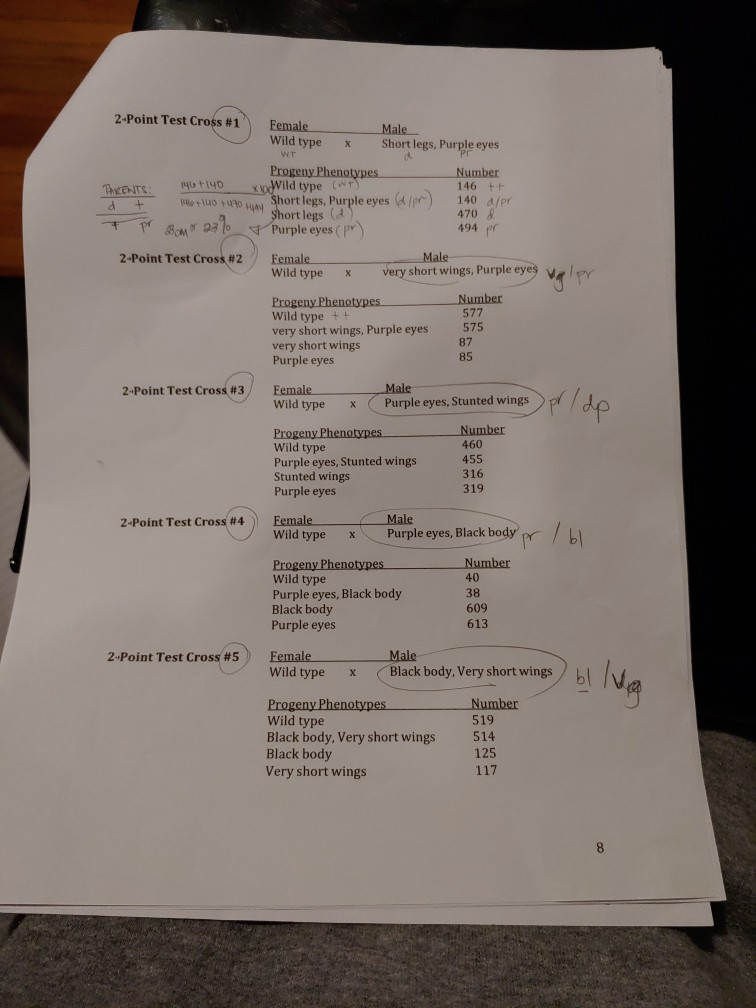 Solved Three-Point Test Cross #2 Female Male Wild type x | Chegg.com