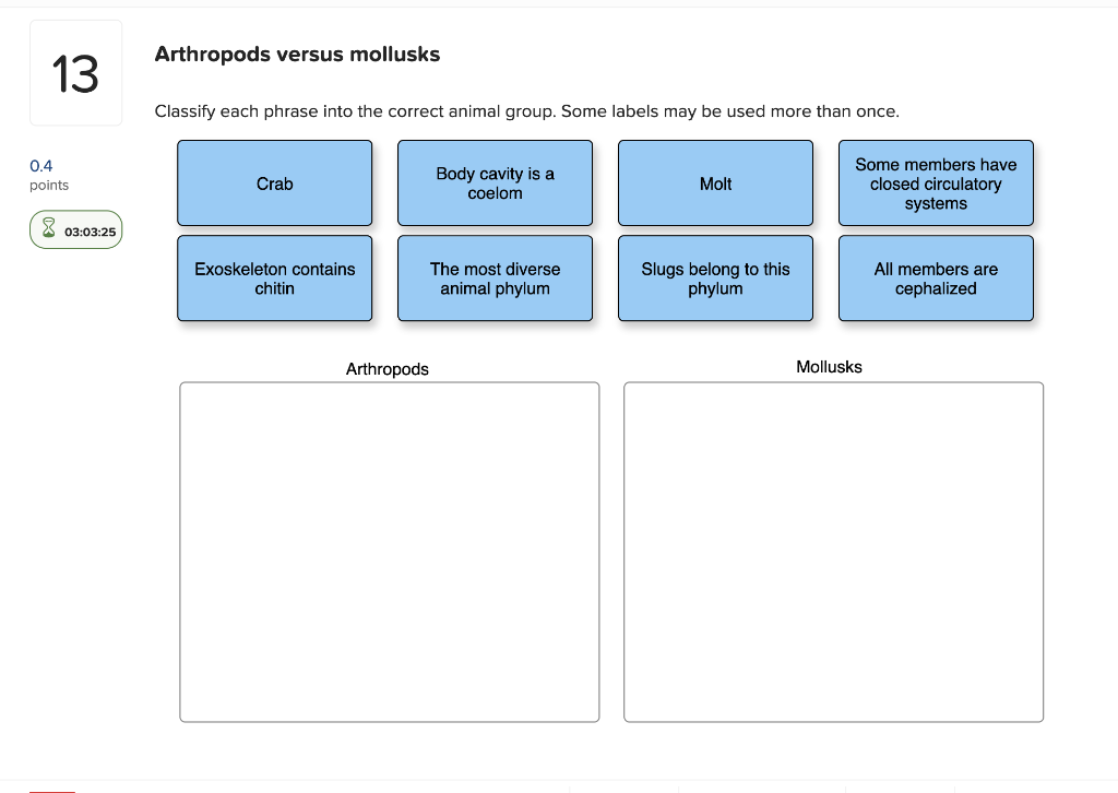Solved Arthropods versus mollusks 13 Classify each phrase | Chegg.com
