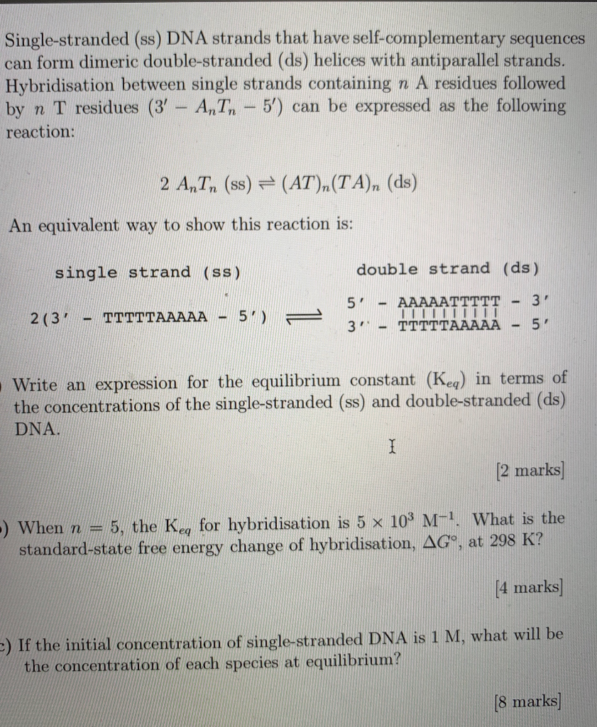 Solved Single-stranded (ss) DNA strands that have | Chegg.com
