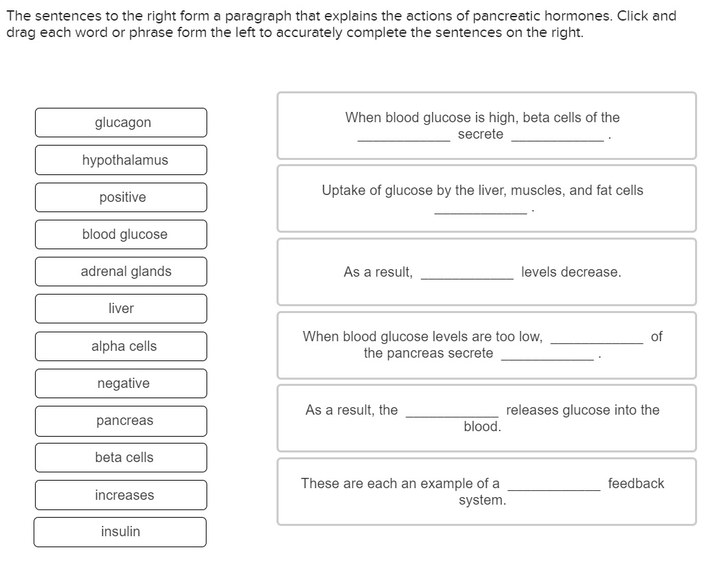 Solved Click and drag each word or phrase form the left to | Chegg.com