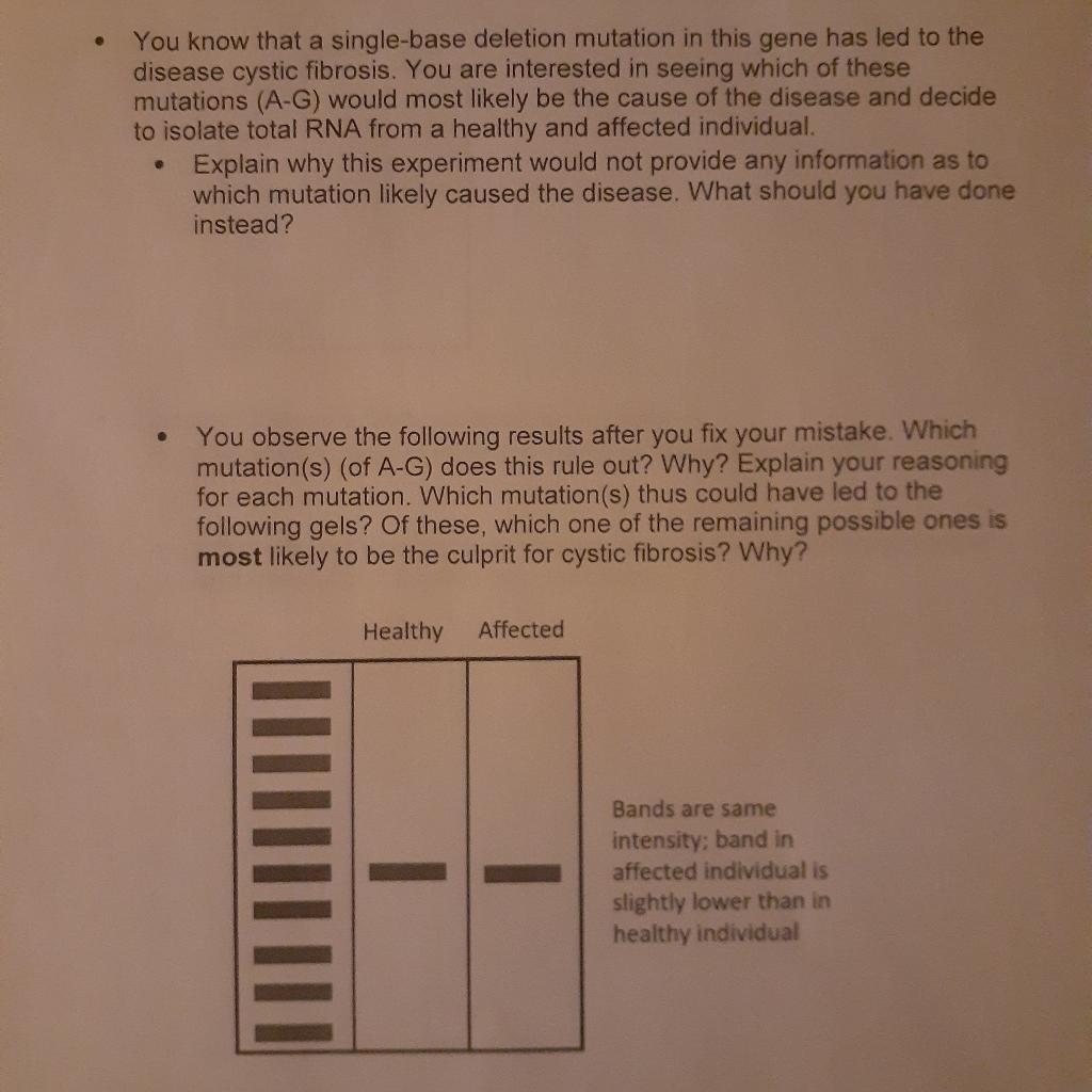 Solved You know that a single-base deletion mutation in this | Chegg.com