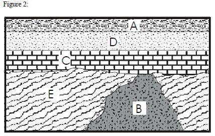 Solved Based on Figure 2 provided, what is the correct order | Chegg.com