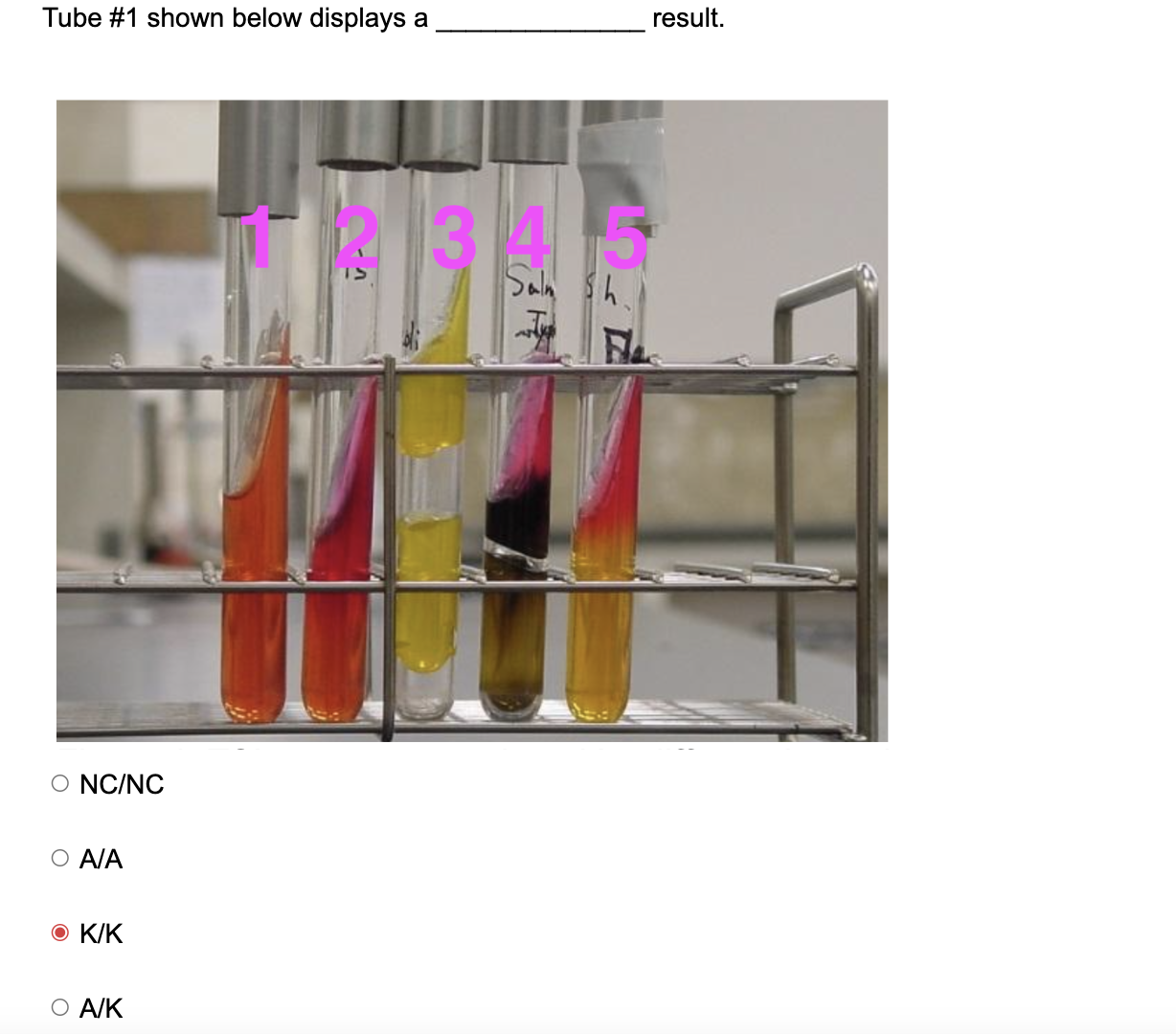 Tube #1 ﻿shown below displays aresult.NCNCA/AKKAK | Chegg.com