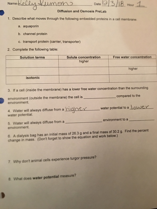 Solved Name Diffusion and Osmosis PreLab 1. Describe what | Chegg.com