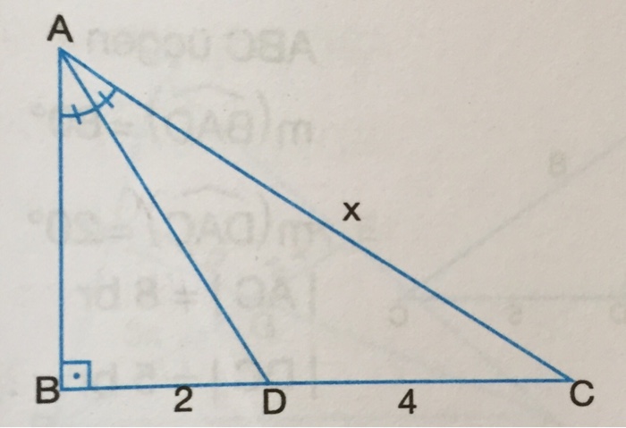 Angle Bisector Of A Right Triangle