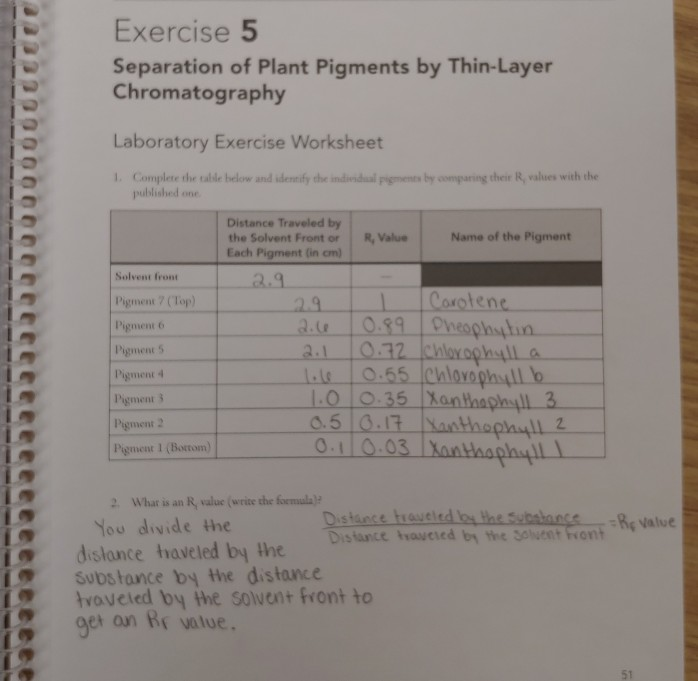 Exercise 5 Separation of Plant Pigments by Thin-Layer | Chegg.com