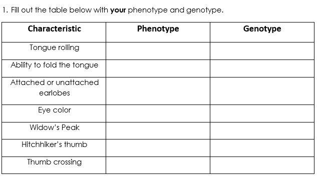 Solved 1. Fill out the table below with your phenotype and | Chegg.com