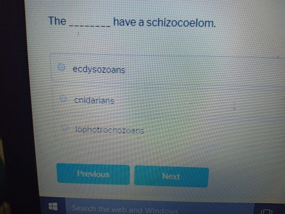 Solved have a schizocoelom. The ecdysozoans O cnidarians | Chegg.com