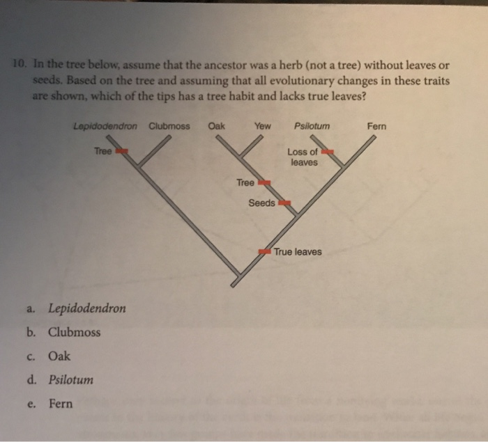 Solved Which of the four trees below depicts a different | Chegg.com