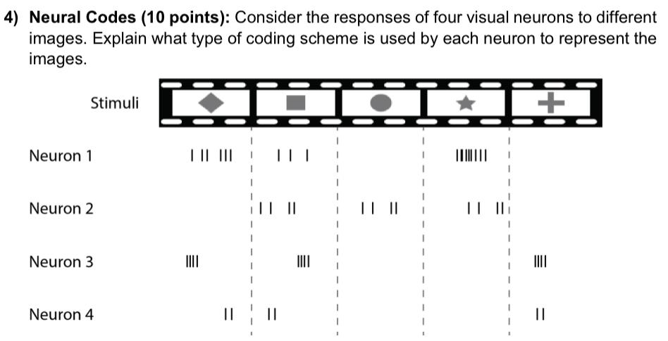 Solved 4) Neural Codes (10 points): Consider the responses | Chegg.com