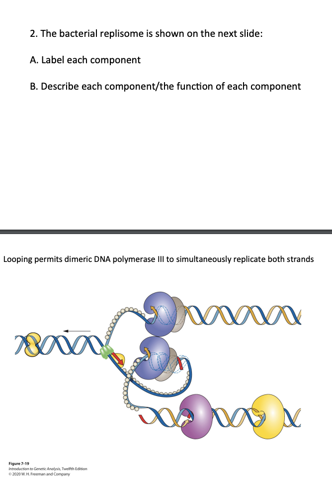 Solved A. Label each component B. Describe each | Chegg.com