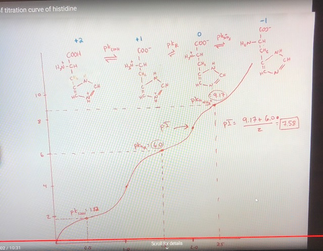 Prepare and submit here a report on titration of | Chegg.com
