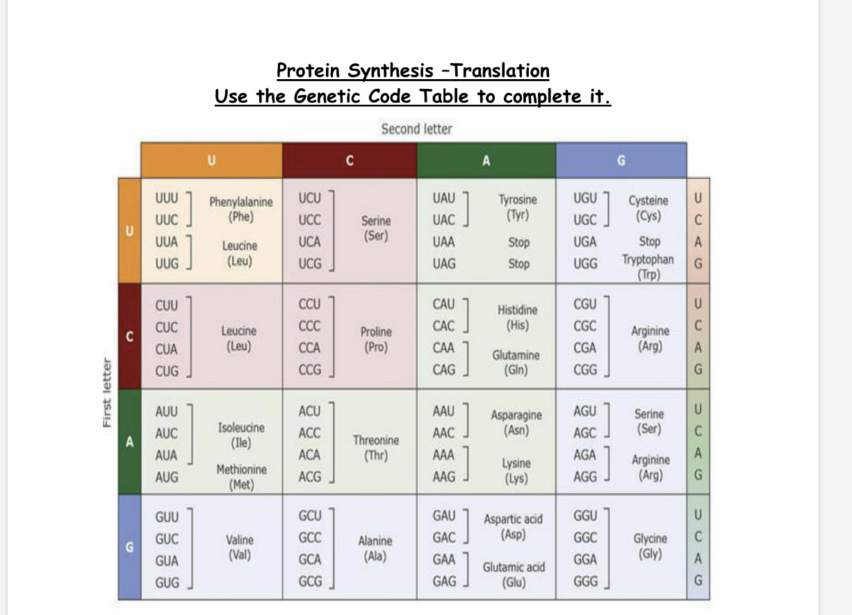 Solved Protein Synthesis - Translation Use the Genetic Code | Chegg.com