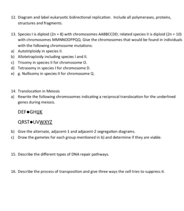 Solved 12. Diagram and label eukaryotic bidirectional | Chegg.com