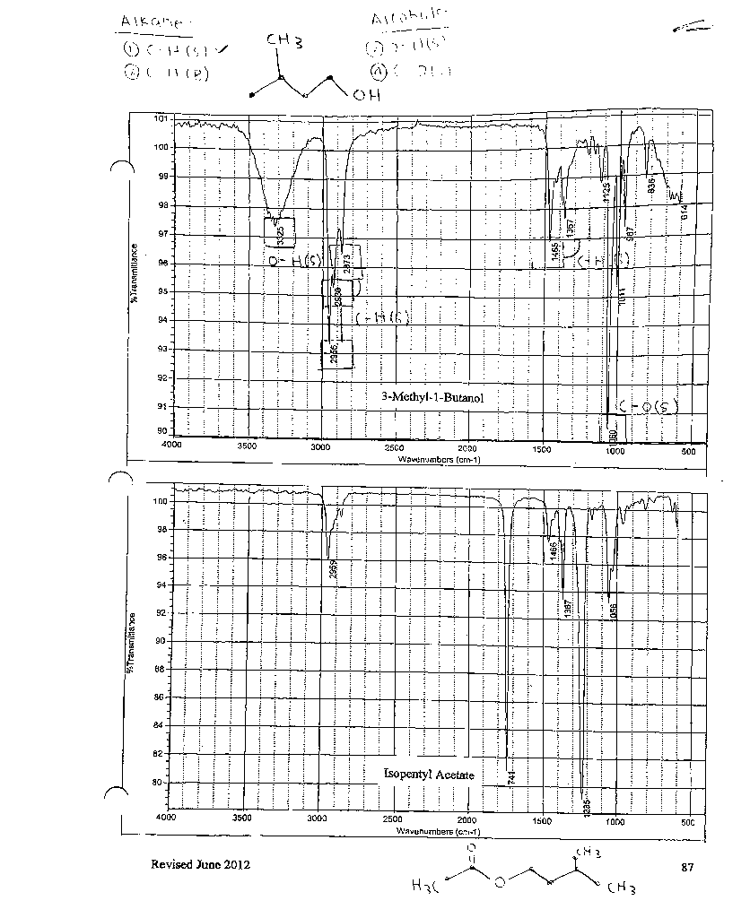 Solved Infrared Spectroscopy Lab Assignment In this | Chegg.com
