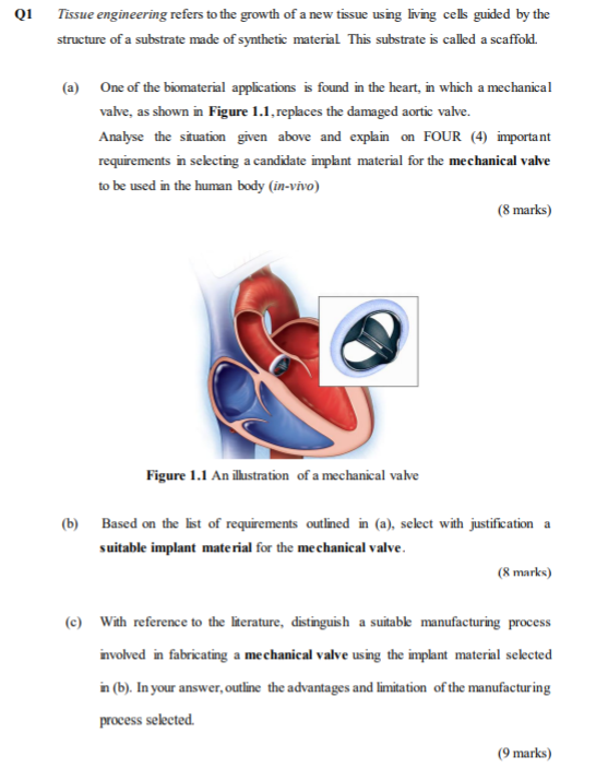 Solved Qi Tissue Engineering Refers To The Growth Of A New Chegg