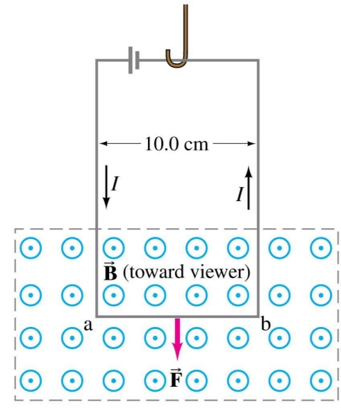 Solved A rectangular loop of wire is hanging vertically from | Chegg.com