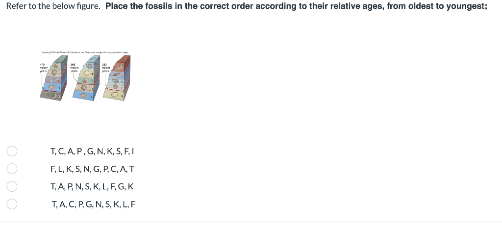 Refer to the below figure. Place the fossils in the | Chegg.com