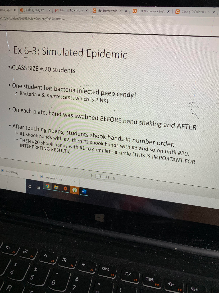 Who is the "index case" or which student did it | Chegg.com