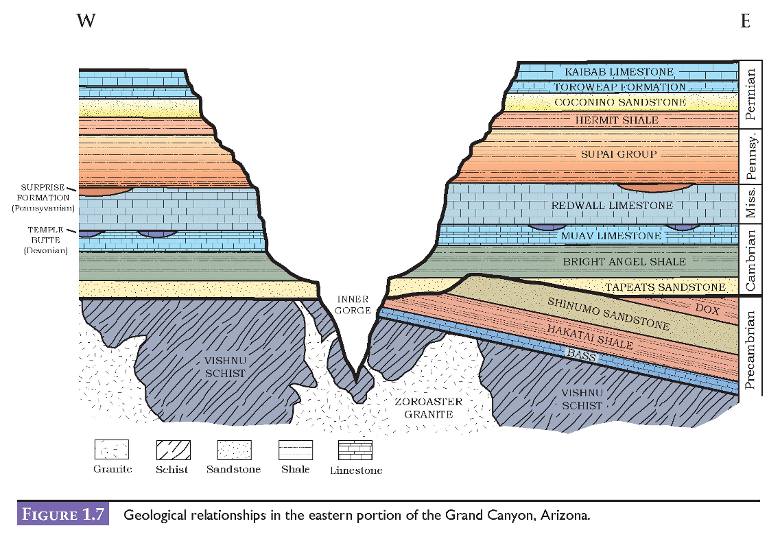 Solved Examine which geologic time intervals are represented | Chegg.com