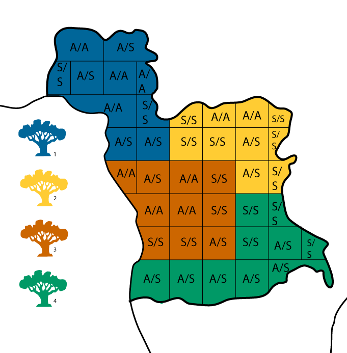 Solved Use the map below to calculate the allele frequency | Chegg.com