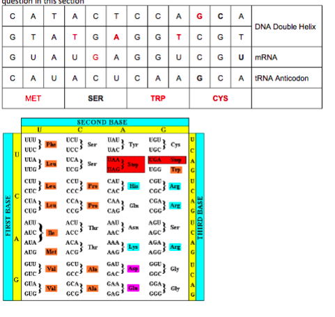 Solved How many total codons are there that have the exact | Chegg.com
