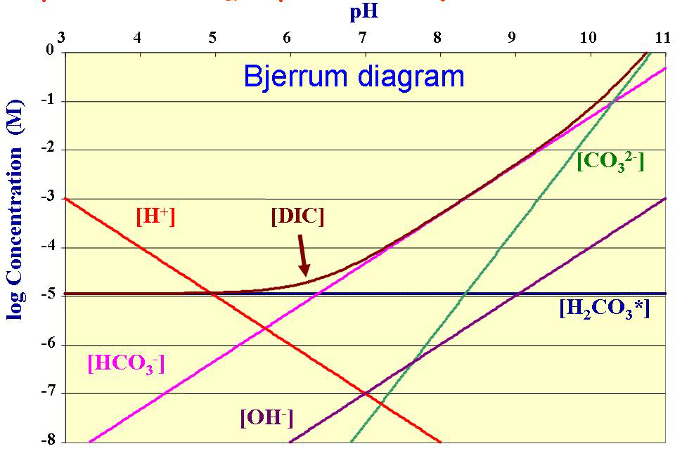 Solved Using the equations and constants given in the | Chegg.com
