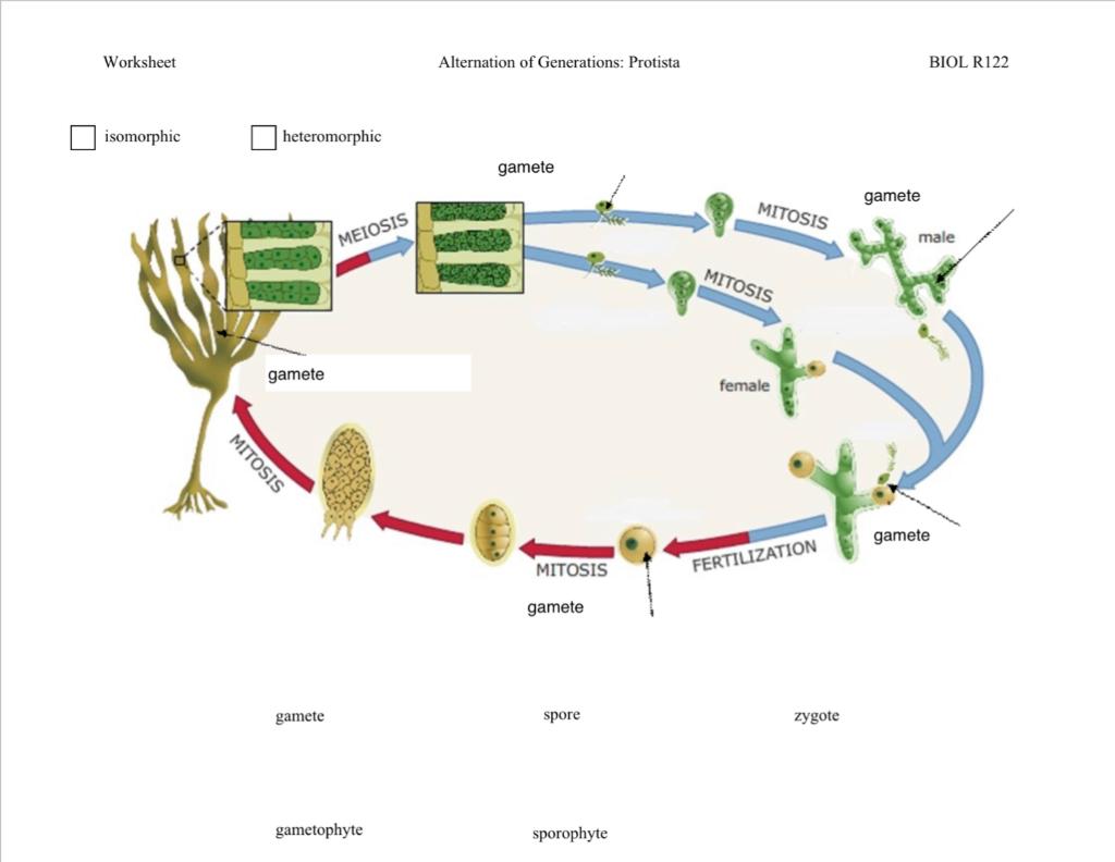 Solved Instructions: 1. Indicate the name for each indicated | Chegg.com