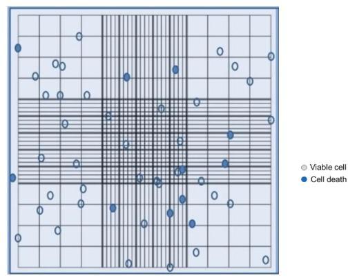 Solved Count the number of viable cells and total cells in | Chegg.com