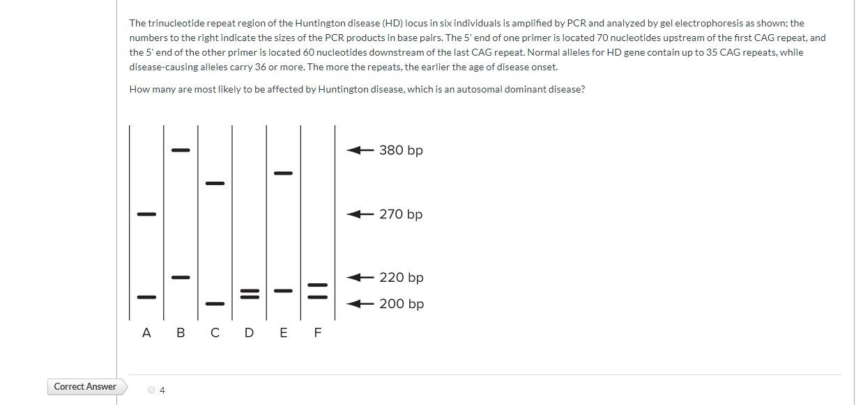 Solved The trinucleotide repeat region of the Huntington | Chegg.com