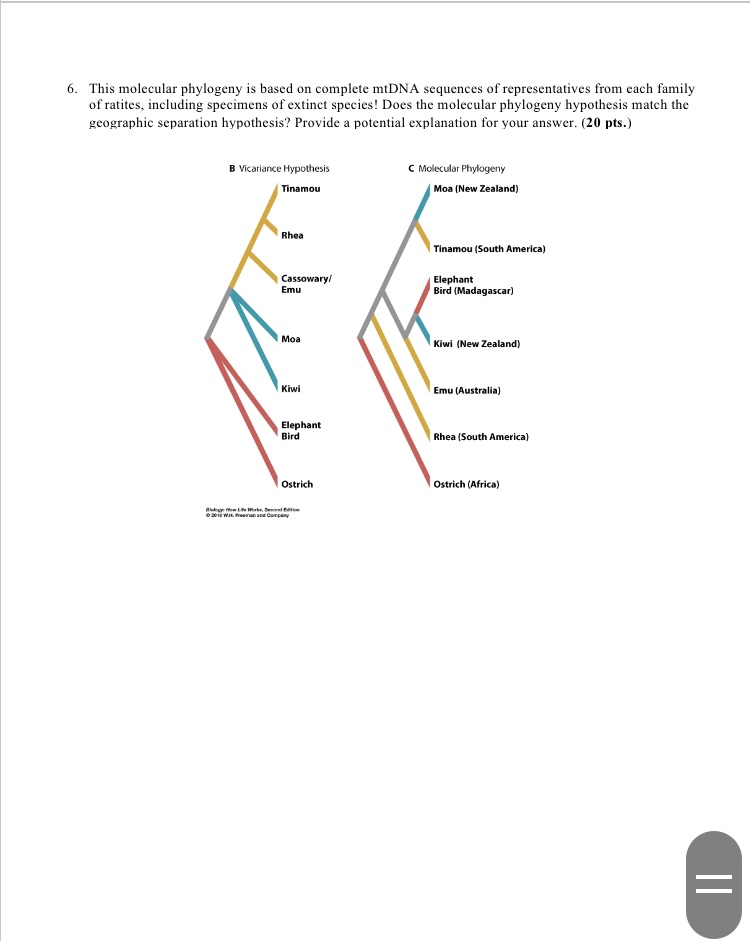 Solved Character matrix: The following is a character matrix | Chegg.com