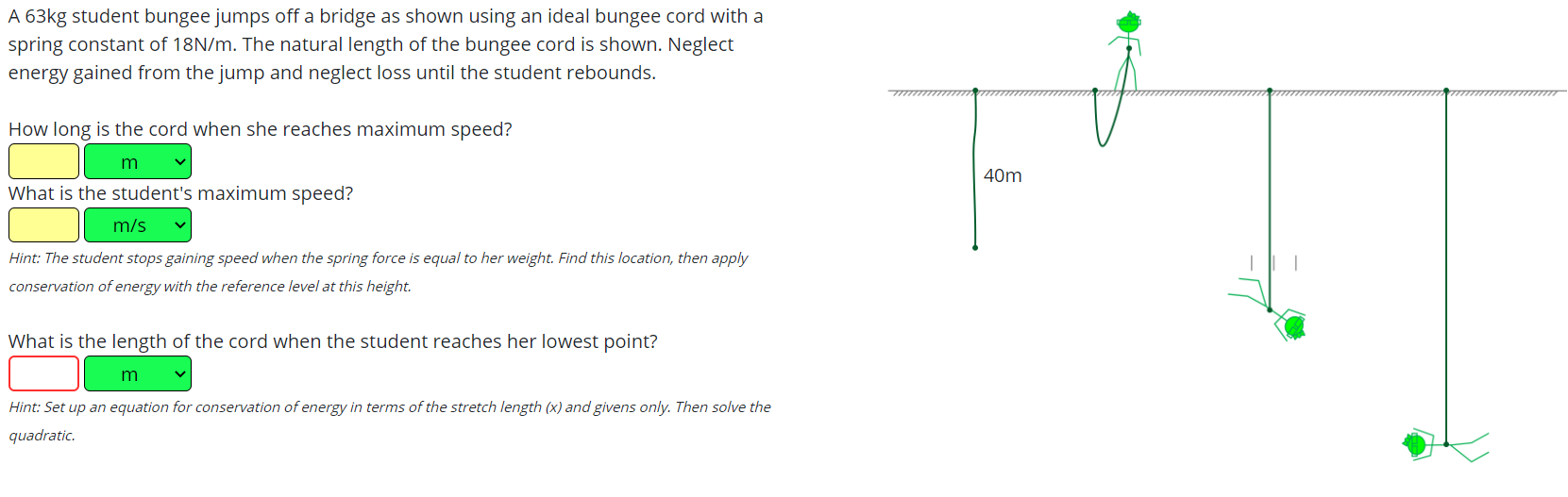 Solved A 63kg student bungee jumps off a bridge as shown | Chegg.com