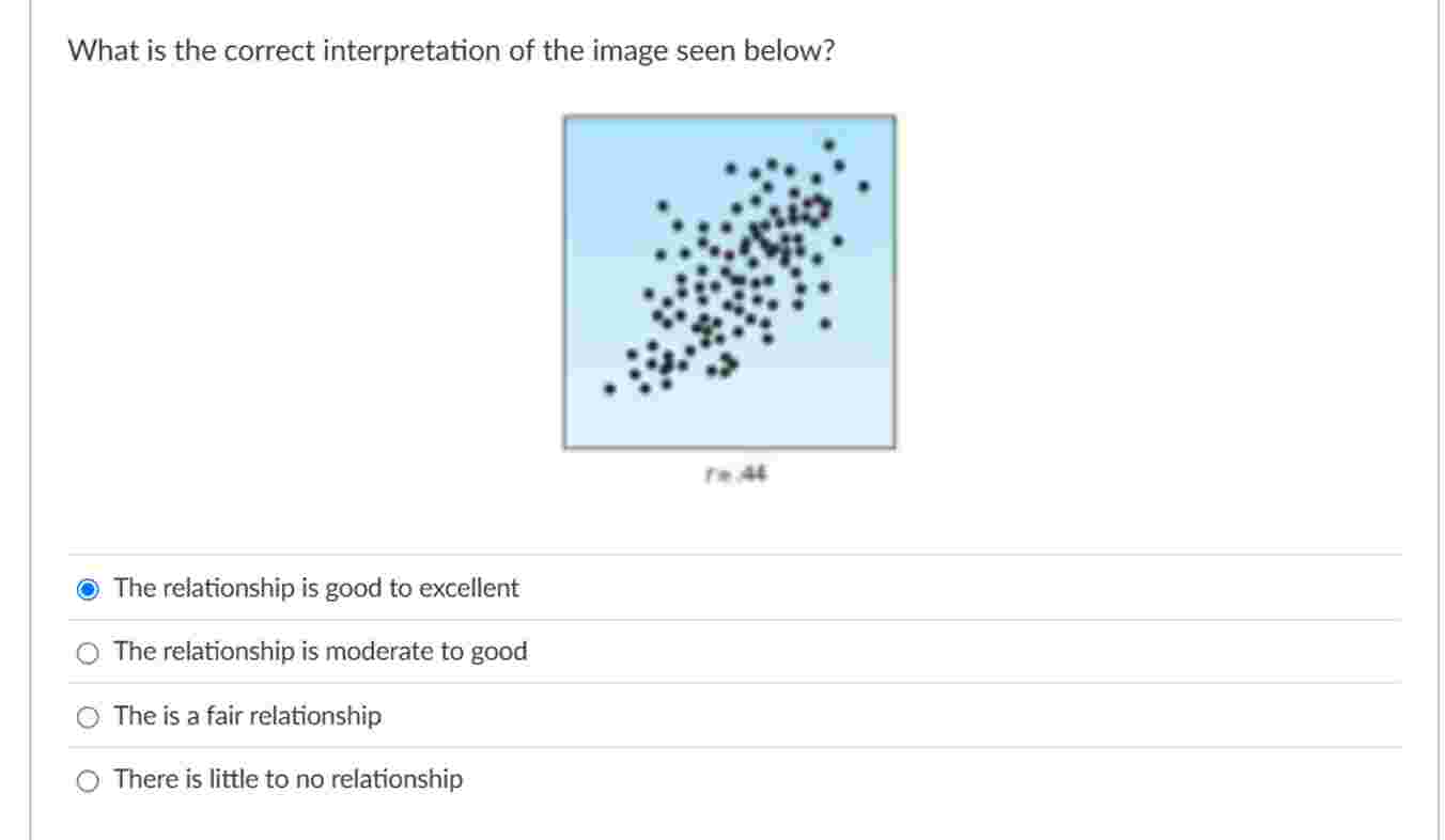 Solved What is the correct interpretation of the image seen | Chegg.com